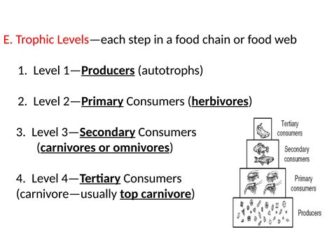 Environmental Engineering Introductionpptx