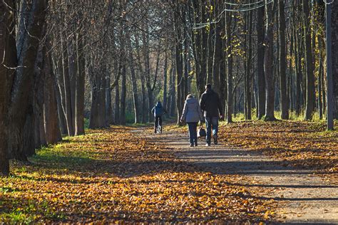 Прогулка В Парке Фото Telegraph