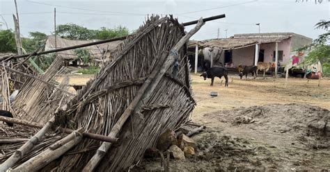 Floods In Pakistan Plunge Millions Into Poverty Action Against Hunger