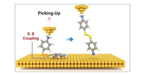 Unveiling The Properties Of Sulfhydryl Groups In A Single Molecule Junction Langmuir