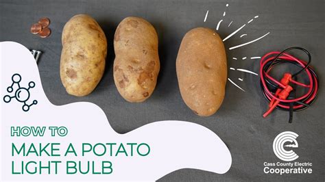 Potato Power How To Make A Potato Light Bulb Youtube