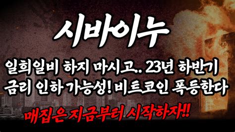 시바이누 도지코인 코인전망 비트코인 이더리움 도지코인 Youtube