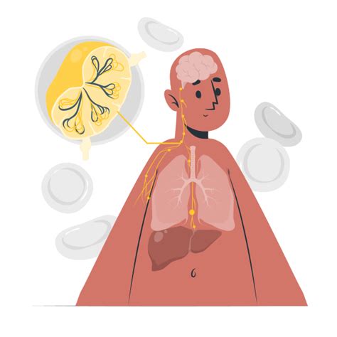 Svg Svg Svg Svg Svg Png
