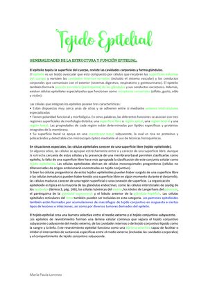 Tejido Adiposo Resumen Ross Histología Texto Y Atlas TEJIDO