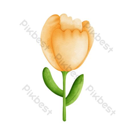 Flower On Stem Vector PNG Images PSD Free Download Pikbest