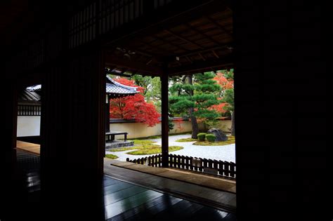 廬山寺 紅葉 もみじの穴場の鮮やかな彩り 京都もよう KYOTO MOYOU