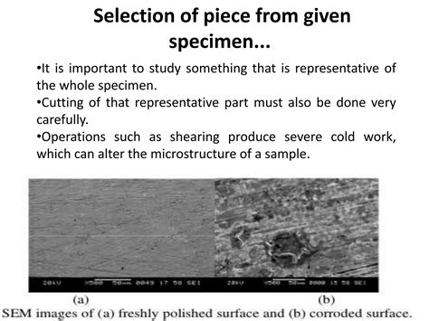 Specimen Preparation For Microscopic Observation Pptx