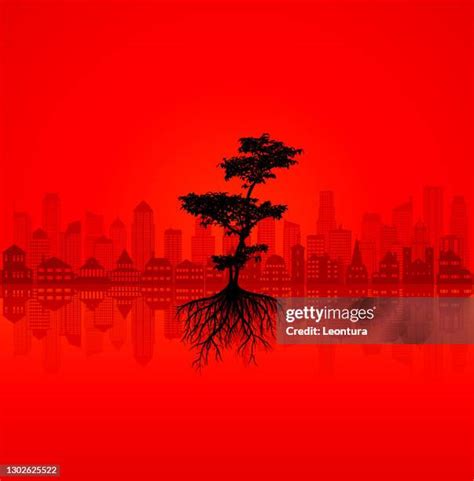 Red Roots Photos And Premium High Res Pictures Getty Images