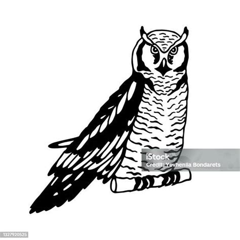 นกฮูก ภาพประกอบสต็อกเวกเตอร์ Eps10 ภาพประกอบสต็อก ดาวน์โหลดรูปภาพตอนนี้ กบฏ มโนทัศน์ การ