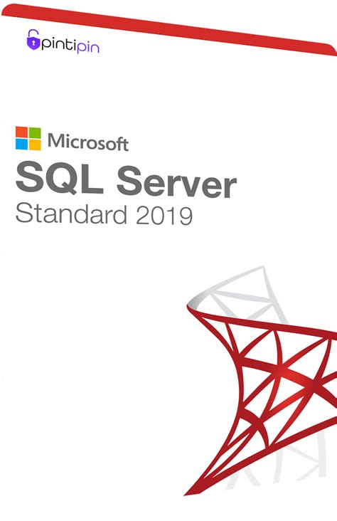 Sql Server 2019 Standard Lisans Pintipin