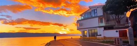 蚁群算法及其优化：原理与代码 知乎