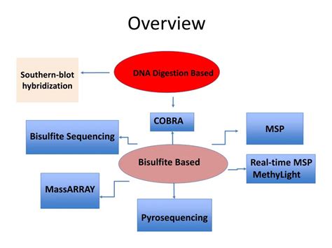Ppt Gene Specific Dna Methylation Detection Methods Powerpoint