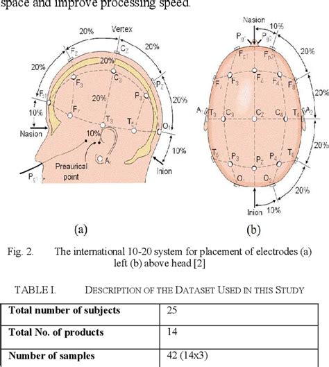 Figure 1 From A Deep Learning Model For Classification Of Eeg Signals For Neuromarketing