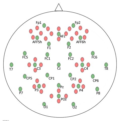 Figure 1 From Eeg Fnirs Based Hybrid Image Construction And Classification Using Cnn Lstm