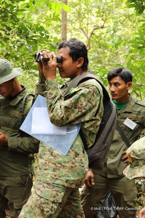 សត្វដំរីជាថនិកសត្វលើគោកដែលមានមាឌធំជាងគេ មានភាពវៃឆ្លាត ហើយរស់នៅជាហ្វូង នគរដ្រេហ្គន