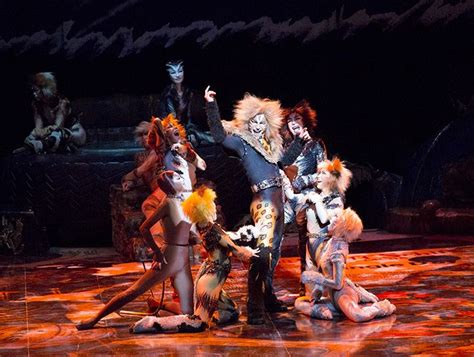 Cats 劇団四季 キャッツ 演劇