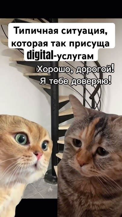 Больная тема для людей работающих в маркетинге трафике и не только
