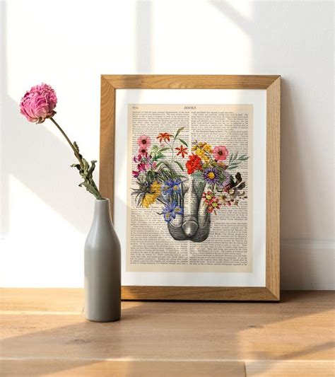 Penis Anatomy Art Male Anatomy Print Andrologist Office Etsy
