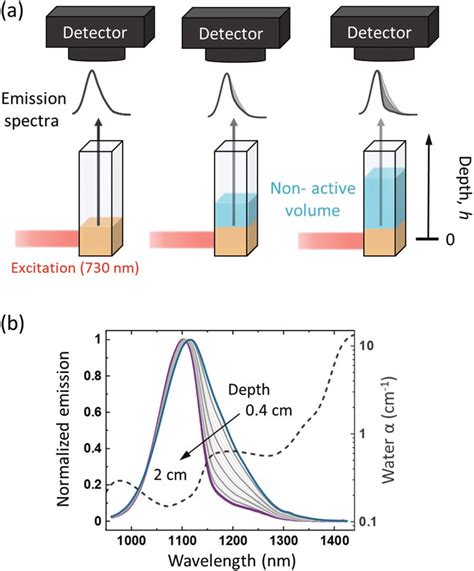 A Schematic Representation Of The Experiment Performed To Evaluate The Download Scientific