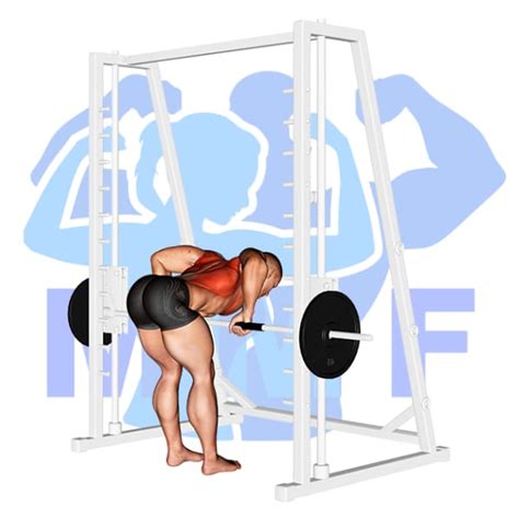Ez Bar Reverse Grip Bent Over Row Your Quick And Easy Guide