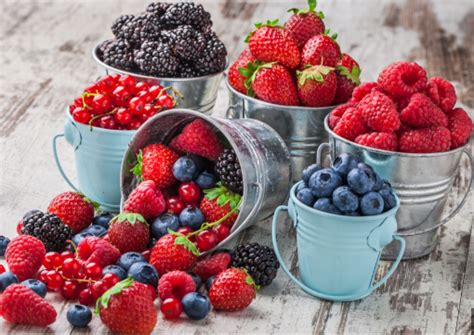 التوت البري وعلاقته بفقدان الوزن اخباركم