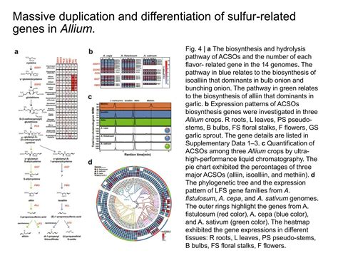 Chromosome Level Genome Assembly221220pptx