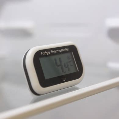 Digital Fridge Thermometer With Food Safety Zone Indicator