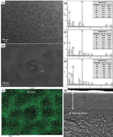Semenergy Dispersive X Ray Spectroscopy Eds Morphology Download