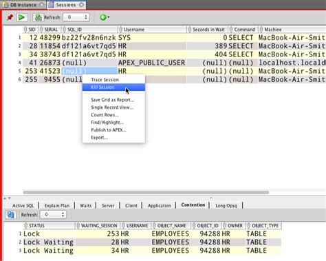 sql developer v4 1 the instance viewer