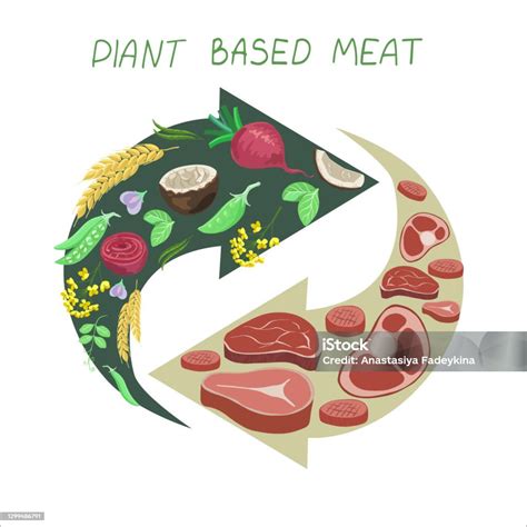 비건 단백질 공급원 식물 기반의 육류 변환 과정 완두콩과 사탕무 밀과 유채 기름 코코넛 오일 벡터 일러스트 야채는 고기로 변환 0명에 대한 스톡 벡터 아트 및 기타 이미지