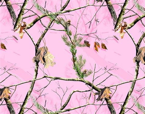 Pink Camo Wallpapers Top Free Pink Camo Backgrounds Wallpaperaccess