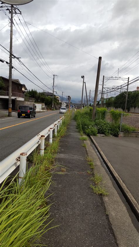 県道久留米小郡線歩道内草刈り除去作業 小郡市議会議員 黒岩重彦しげひこ 公式サイト