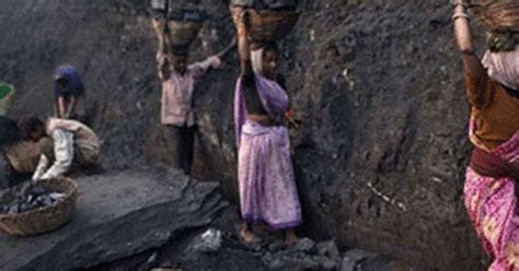 Coal Scam Case Cbi Cannot Sit Over The Matter Says Court