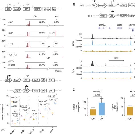 Starr Seq Identifies Enhancers Silenced Endogenously A Percentages Of
