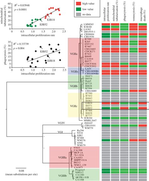 Correlation Of Phylogenetic And Phenotypic Data Phenotypic Data Were