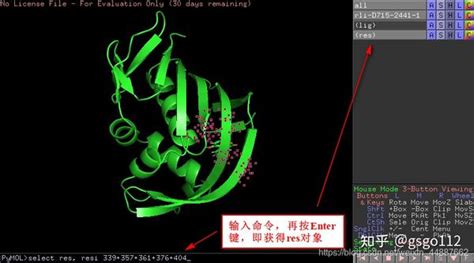 Pymol处理对接结果作图 知乎