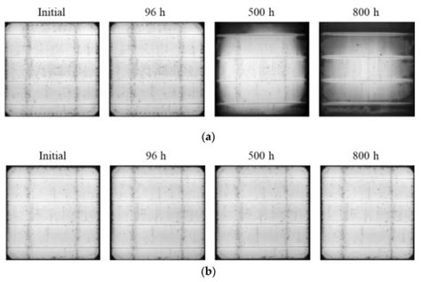 Potential Induced Degradation In Photovoltaic Modules A Review Of The