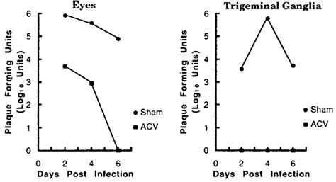 Viral Replication In Eyes And Tg In Sham And Acv Treated Mice Titers