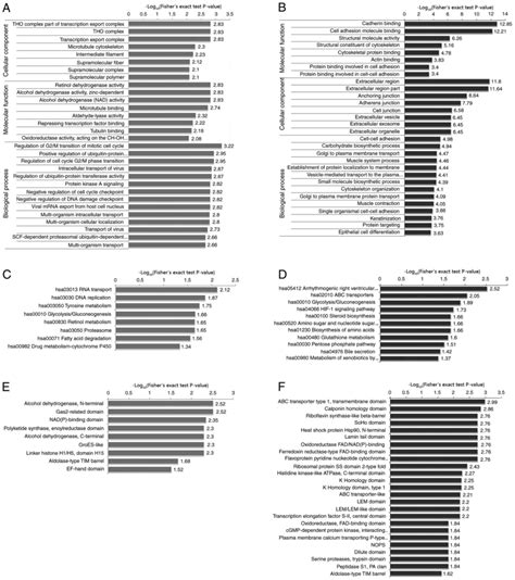 Dysregulation Of Phosphoproteins In Hepatocellular Carcinoma Revealed Via Quantitative Analysis