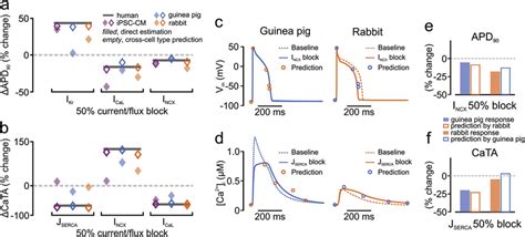 Extension Of The Cross Cell Type Regression Model Concept To Additional