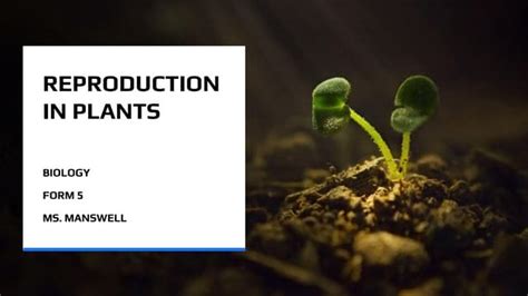 Cbse Grade 7 Chapter 11 Reproduction In Plants Ppt
