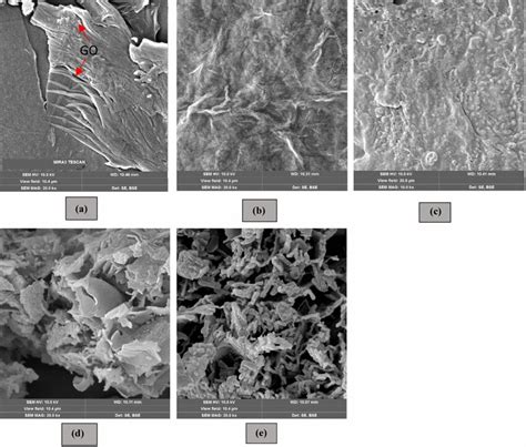 SEM Images Showing A GO B GO CS C GO CS FA D GO CS FA TAM And E Download Scientific Diagram