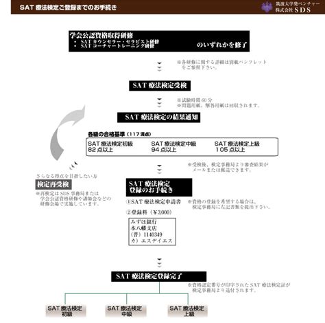 SAT療法検定学習 筑波大学発ベンチャー株式会社 SDS