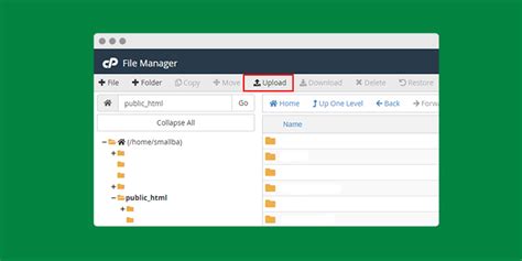 What Is CPanel Hosting A Beginner S Guide Blog Freeparking NZ