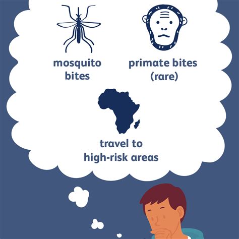 Yellow Fever Overview And More