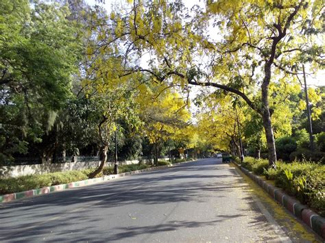 무료 이미지 나무 도로 잎 꽃 가을 공원 시즌 수로 하부 구조 삼림지 이웃 주거 지역 우디 식물 3264x2448 502156 무료