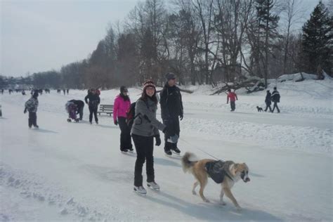 Faire Du Patin à Glace En Compagnie De Toutou — Passion Animo