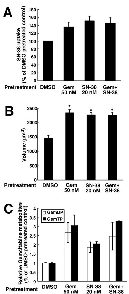 Effects Of Drug Treatment On Sn 38 And Gemcitabine Cellular