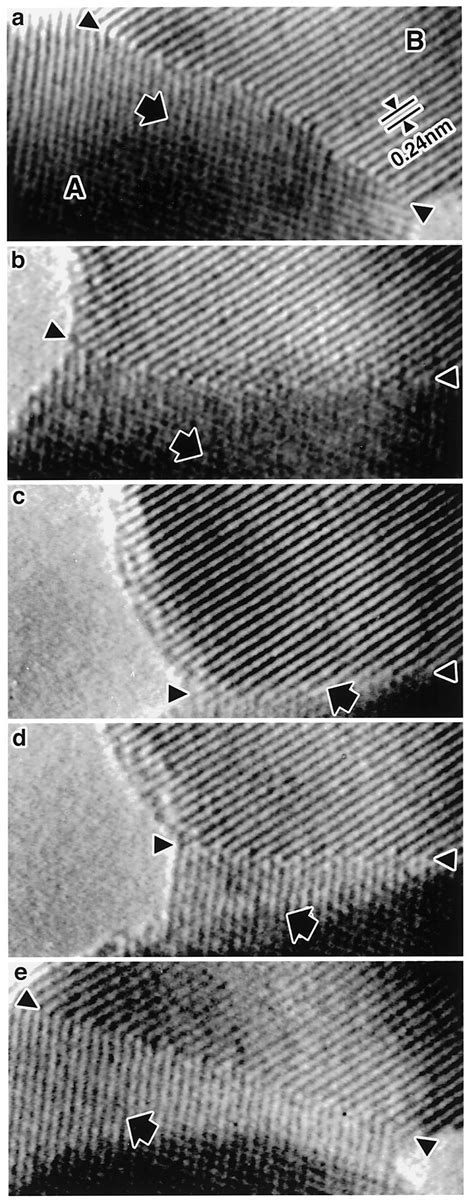 high resolution image of deformation of a gold twin boundary ＜110