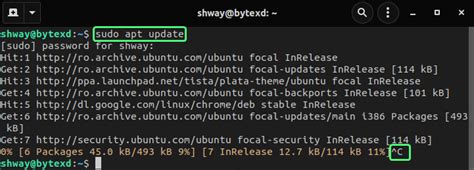 What To Do When Linux GUI Freezes ByteXD